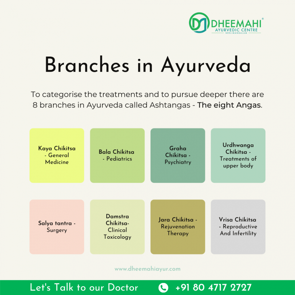 Beginners Guide to Ayurveda – Dheemahi Ayurveda