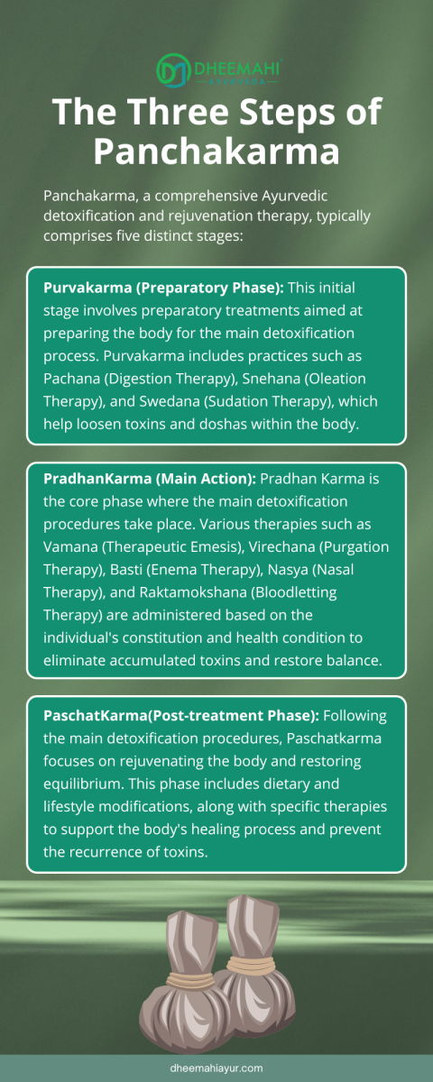 Panchakarma Ayurveda Treatment Steps and Procedures – Dheemahi Ayurveda